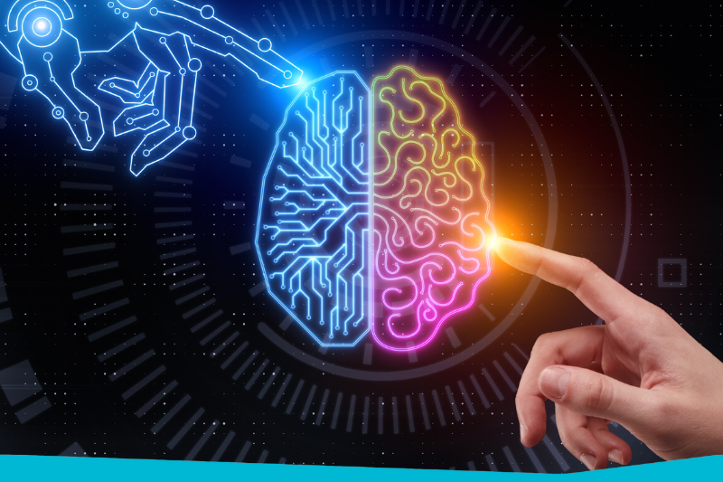 Home | bcisociety.org